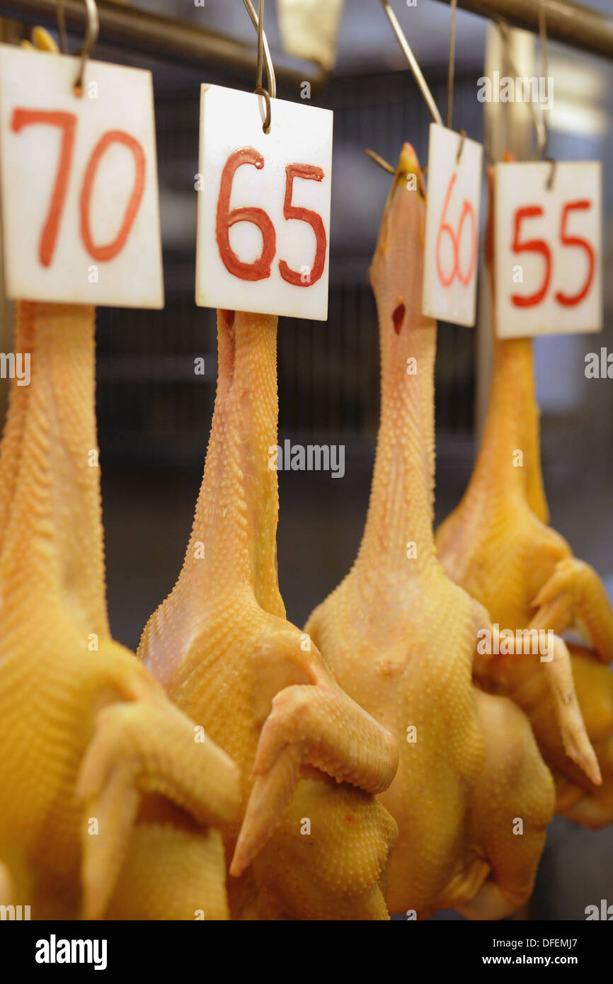 Fresh plucked chicken Banque de photographies et d’images à haute ...