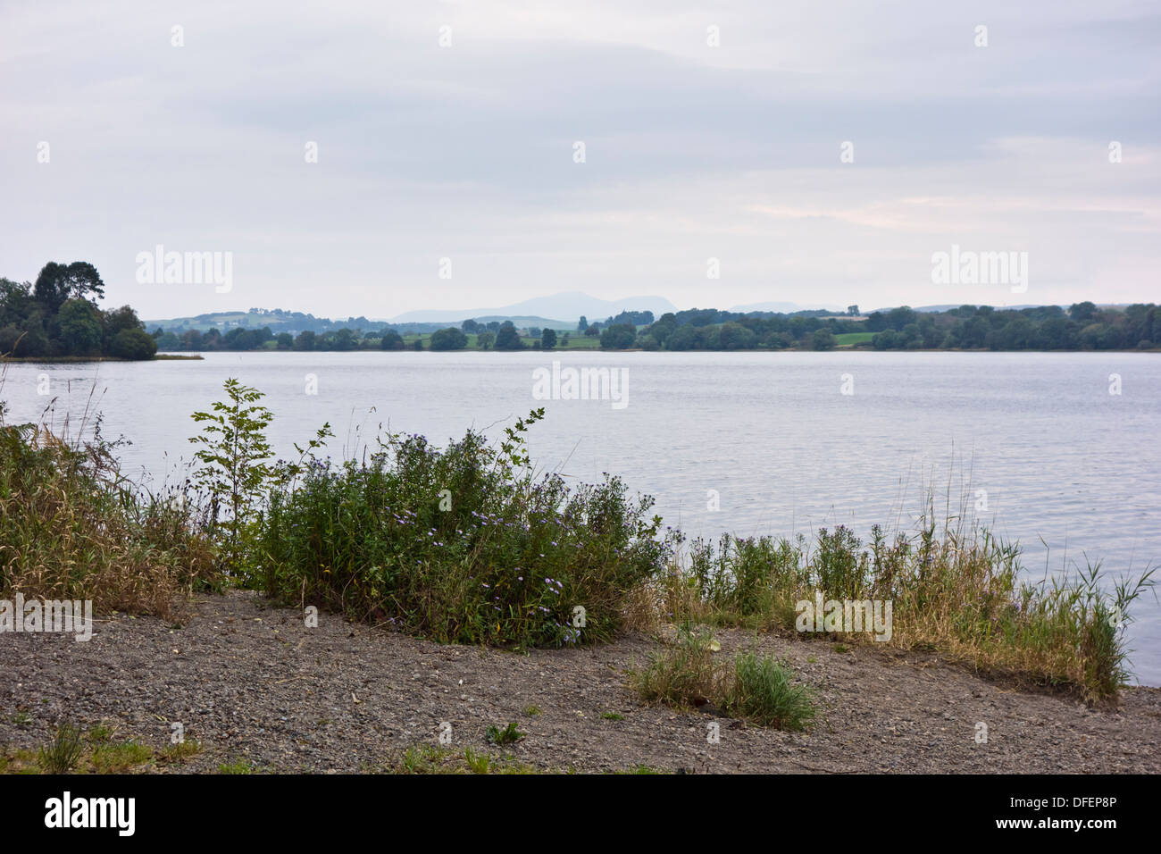 Loch ken Banque de photographies et d’images à haute résolution - Alamy