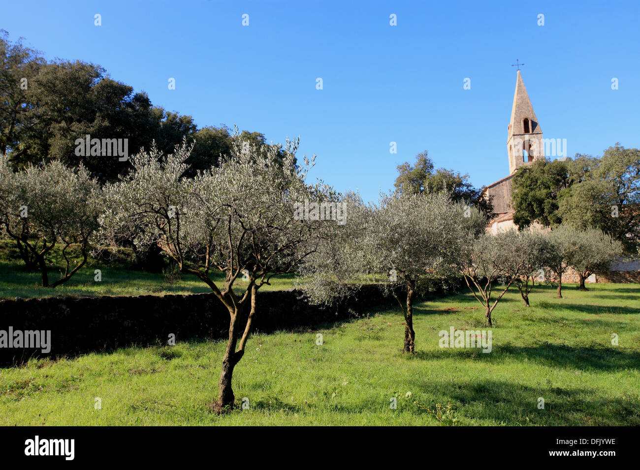 Cloister abbaye du thoronet var Banque de photographies et d’images à haute résolution - Alamy