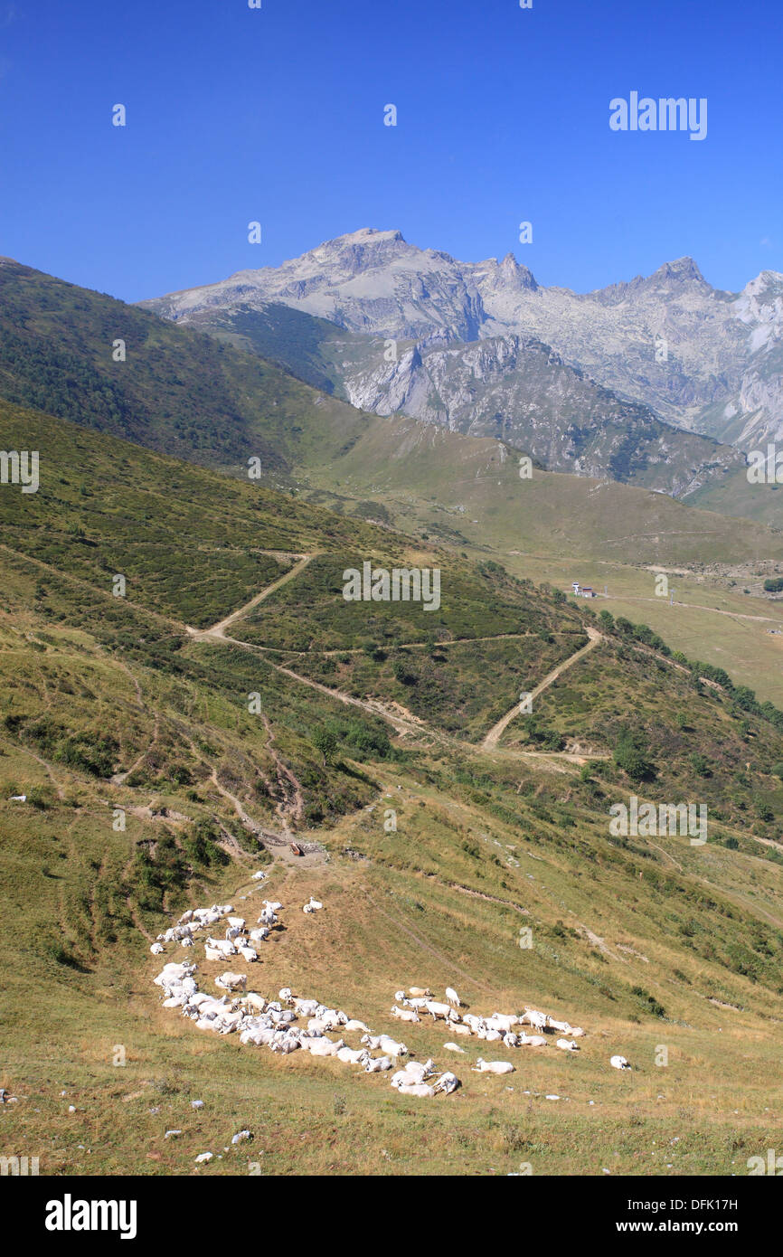 Col de tende Banque de photographies et d’images à haute résolution - Alamy