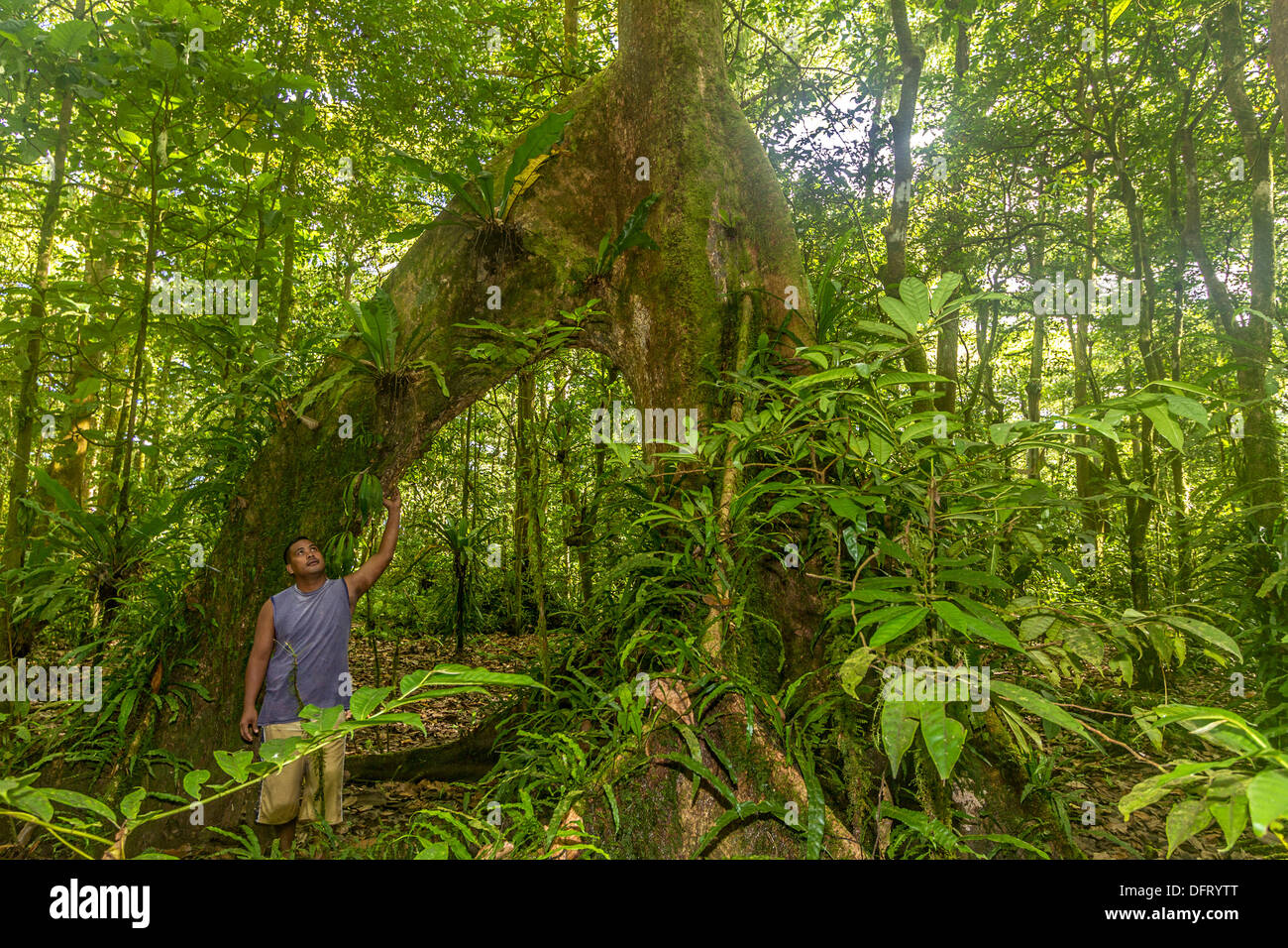 Ka man Banque de photographies et d’images à haute résolution - Alamy