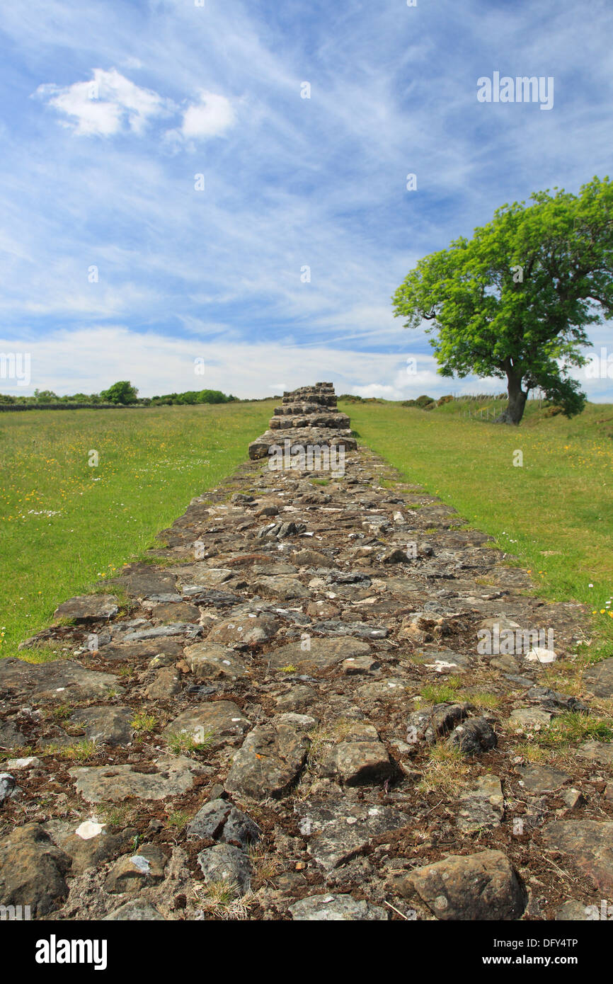 Reste Le Mur De Hadrian Banque d'image et photos - Alamy