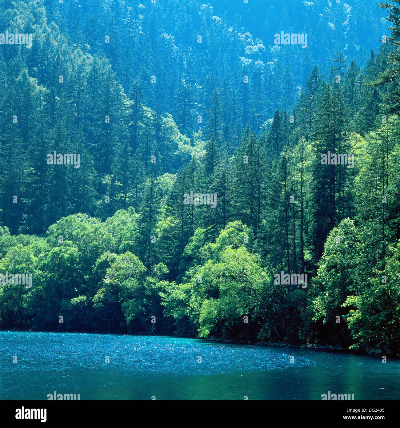 Panda lake Banque de photographies et d’images à haute résolution - Alamy