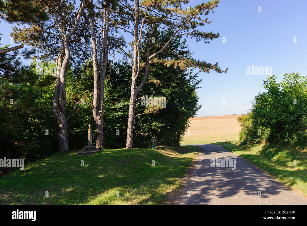 Chemin de campagne avec arbre Banque de photographies et d’images à ...