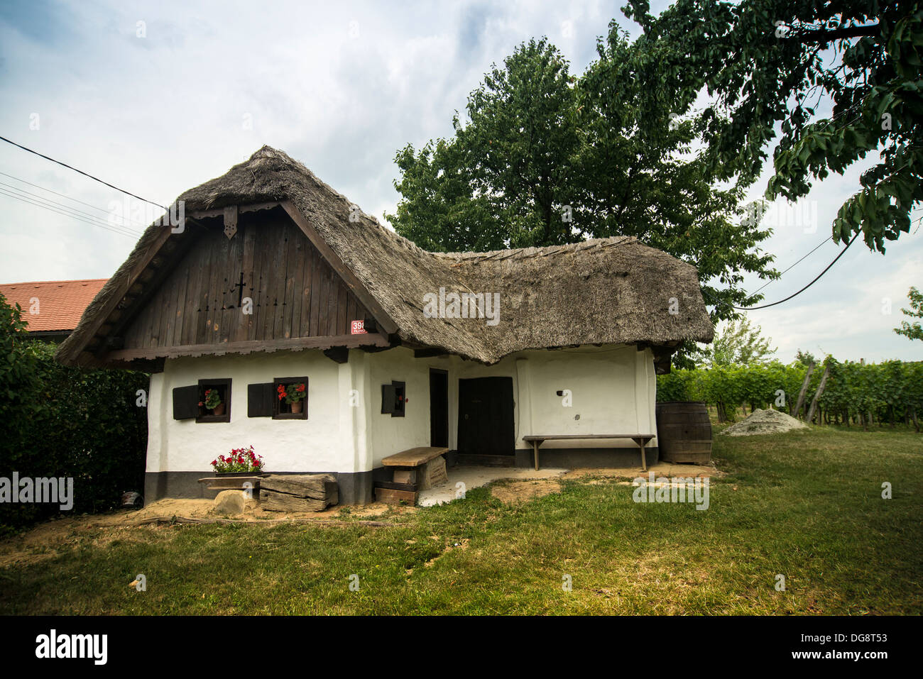 Maison traditionnelle au toit de chaume Banque de photographies et d ...