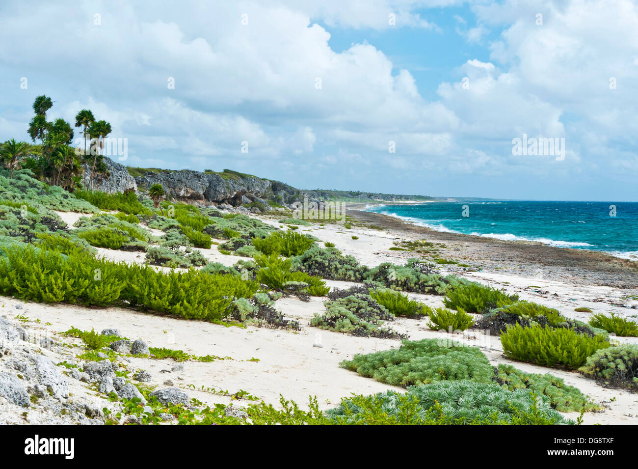 Parc National De Guanahacabibes Banque d'image et photos - Alamy