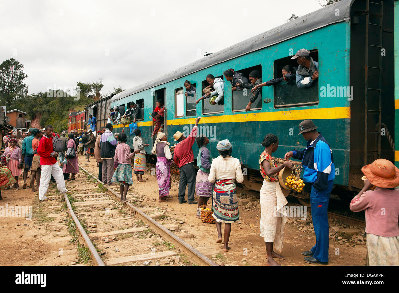 Madagascar rail Banque de photographies et d’images à haute résolution ...
