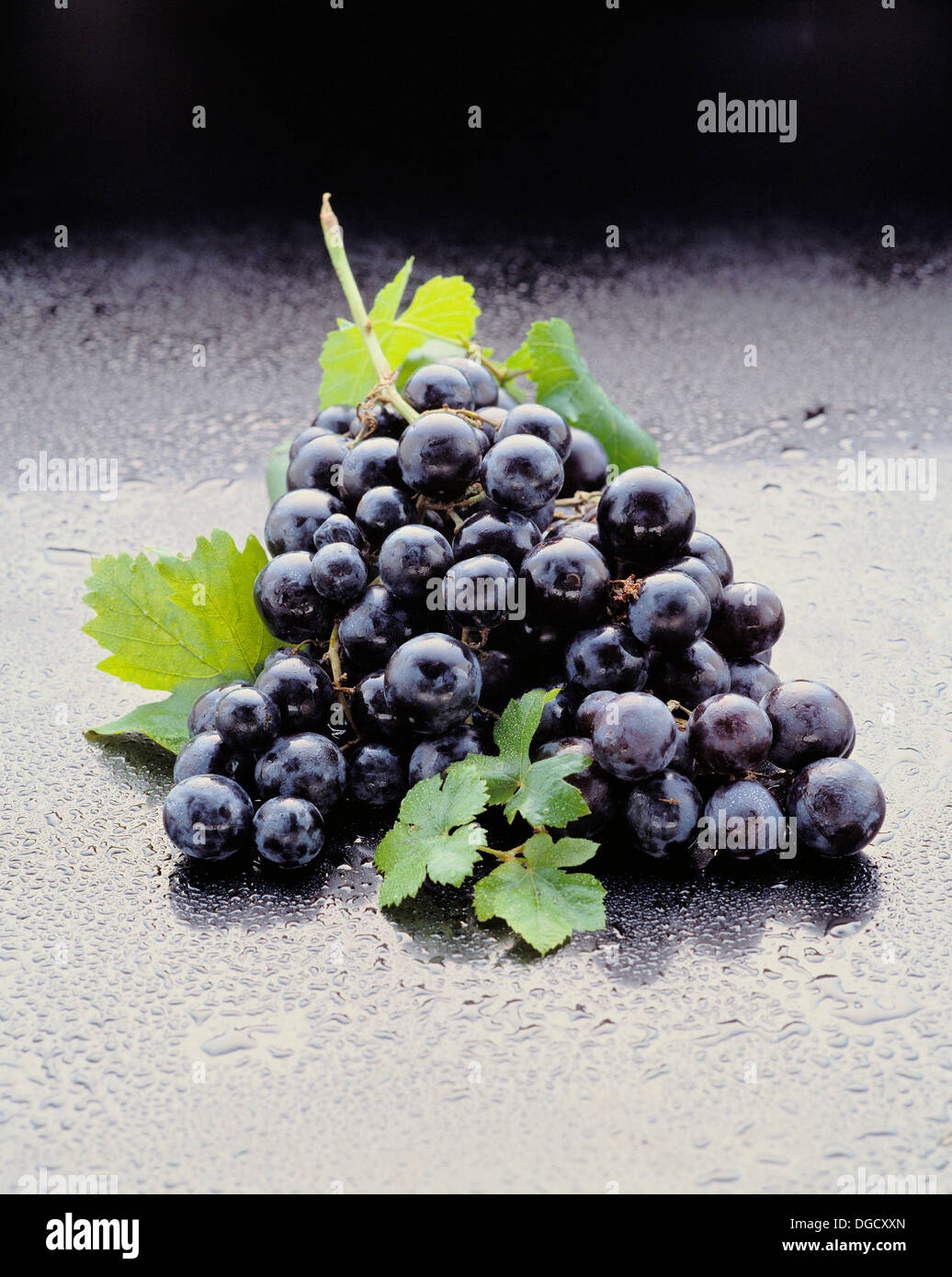 Black raisins Banque de photographies et d’images à haute résolution ...