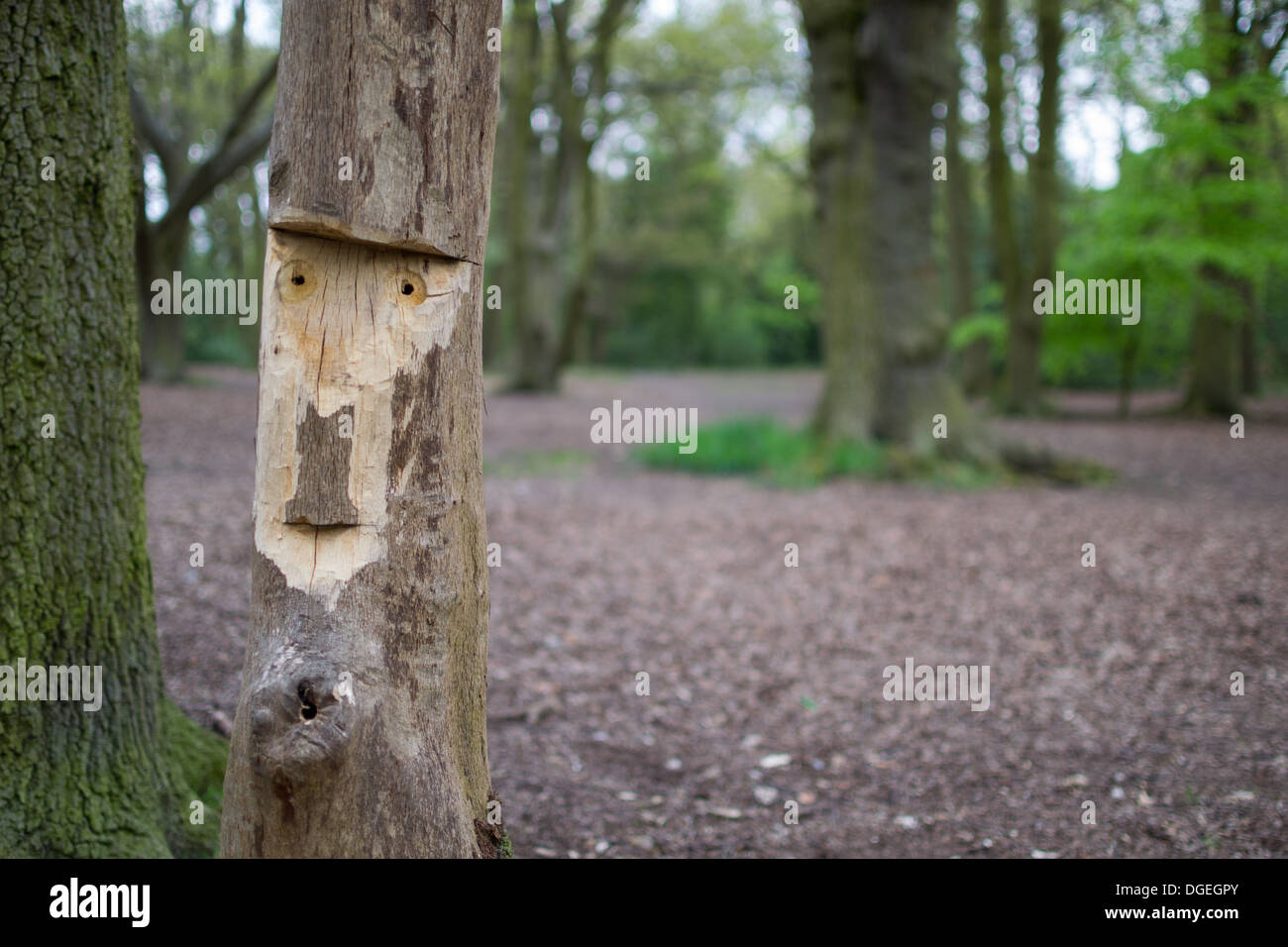 Humour humour photo humoristique Banque de photographies et d’images à ...