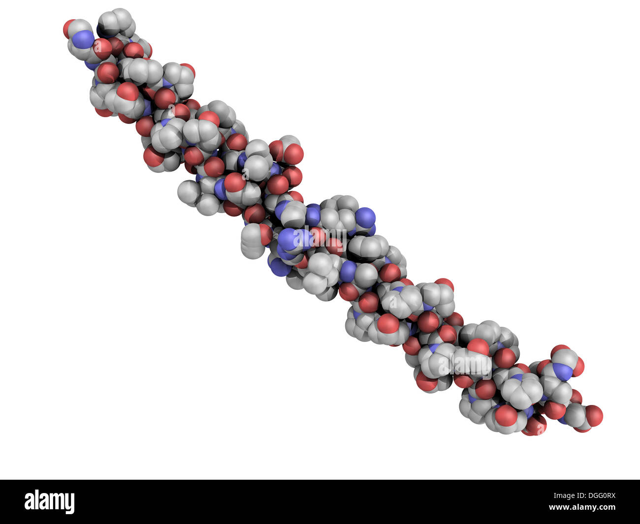 Collagen protein structure Banque de photographies et d’images à haute ...