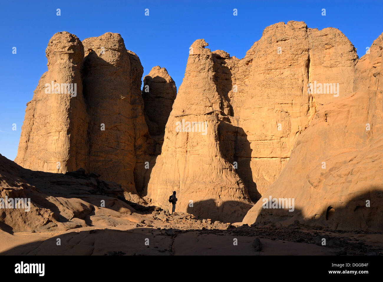 Paysage de désert rocailleux à El Ghessour, Tassili du Hoggar ...