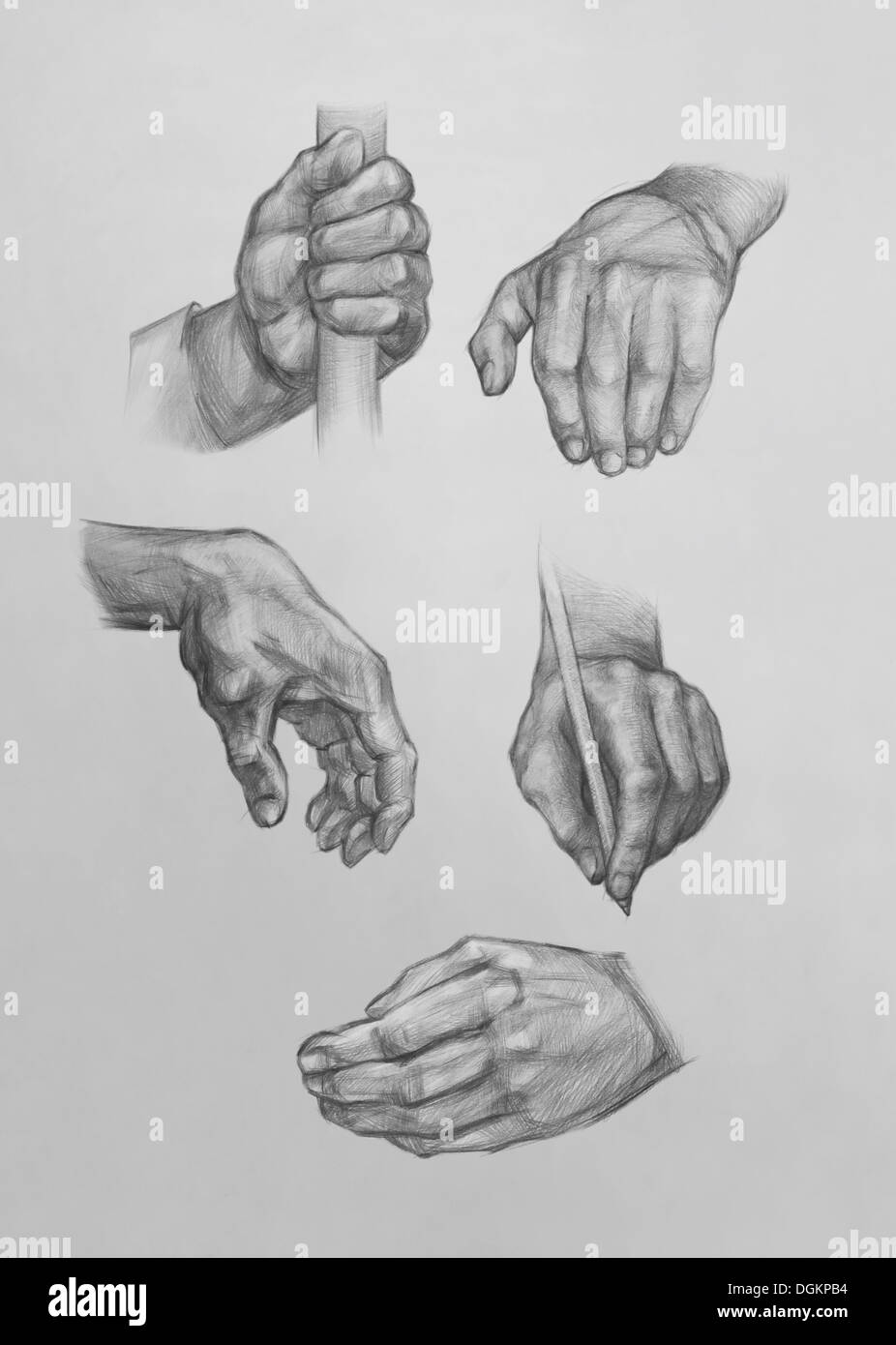 Dessin Au Crayon Des Mains En Coupe