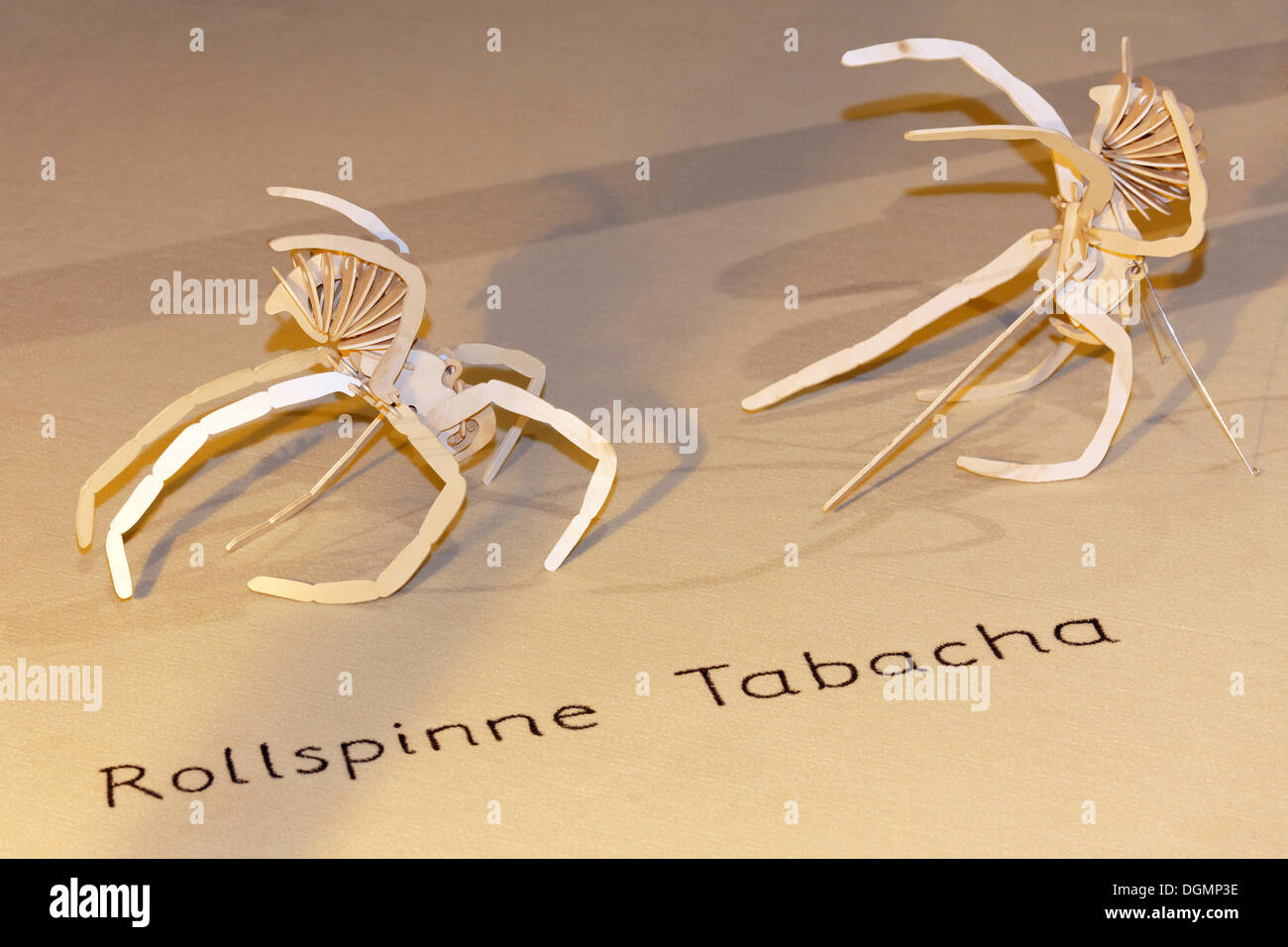 Montrant le mouvement Banque de photographies et d’images à haute résolution - Alamy