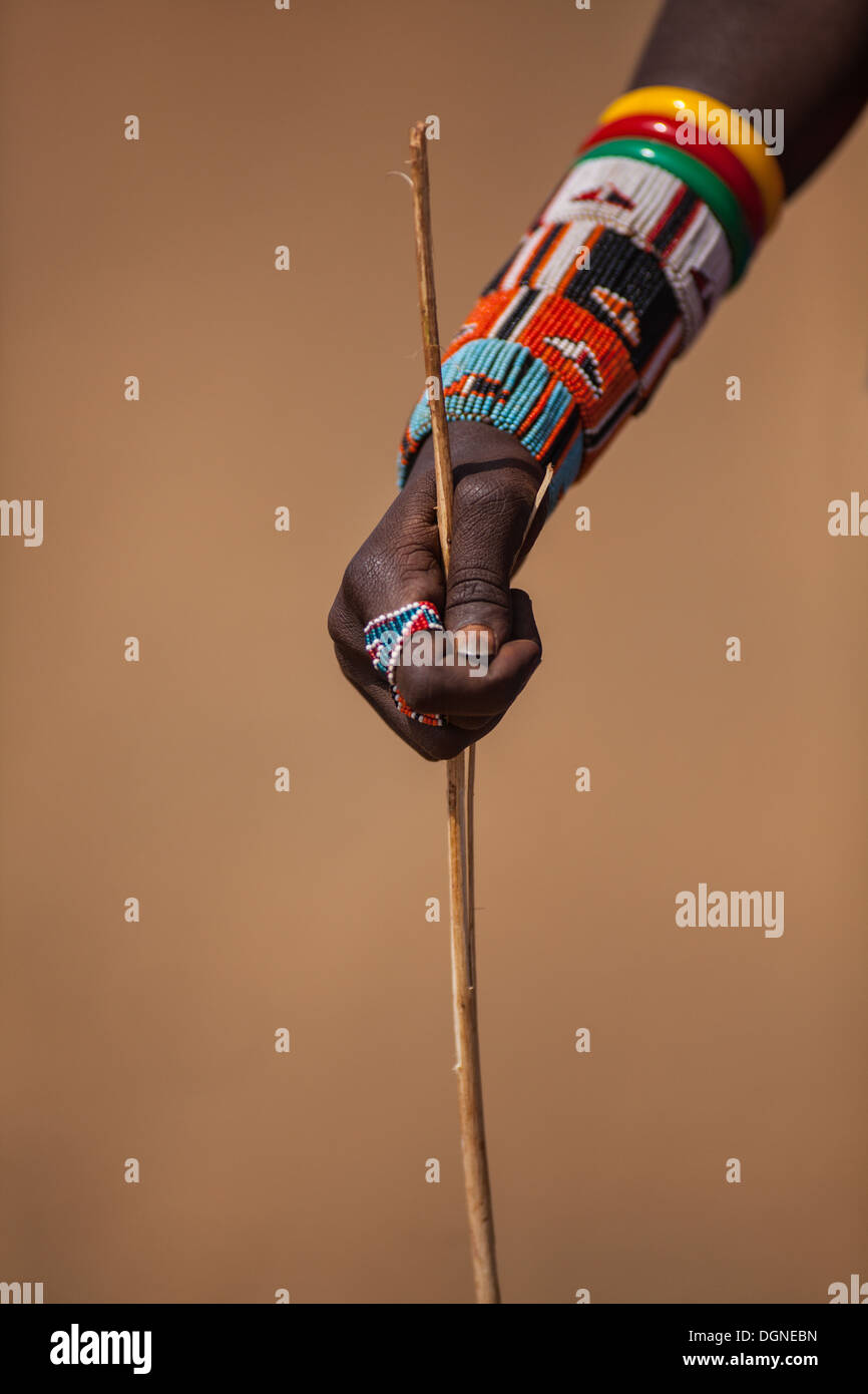 African walking stick Banque de photographies et d’images à haute ...