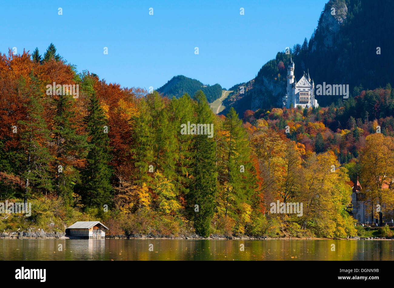 Le château de Neuschwanstein avec Lac Alpsee, Füssen, en Bavière ...