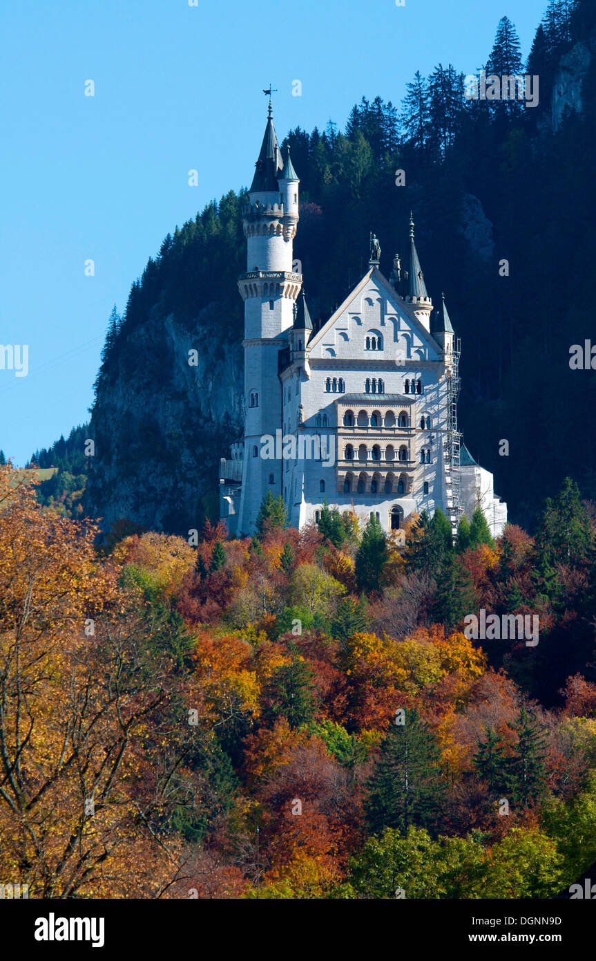 Le château de Neuschwanstein au lac Alpsee, Füssen, en Bavière Allgaeu ...