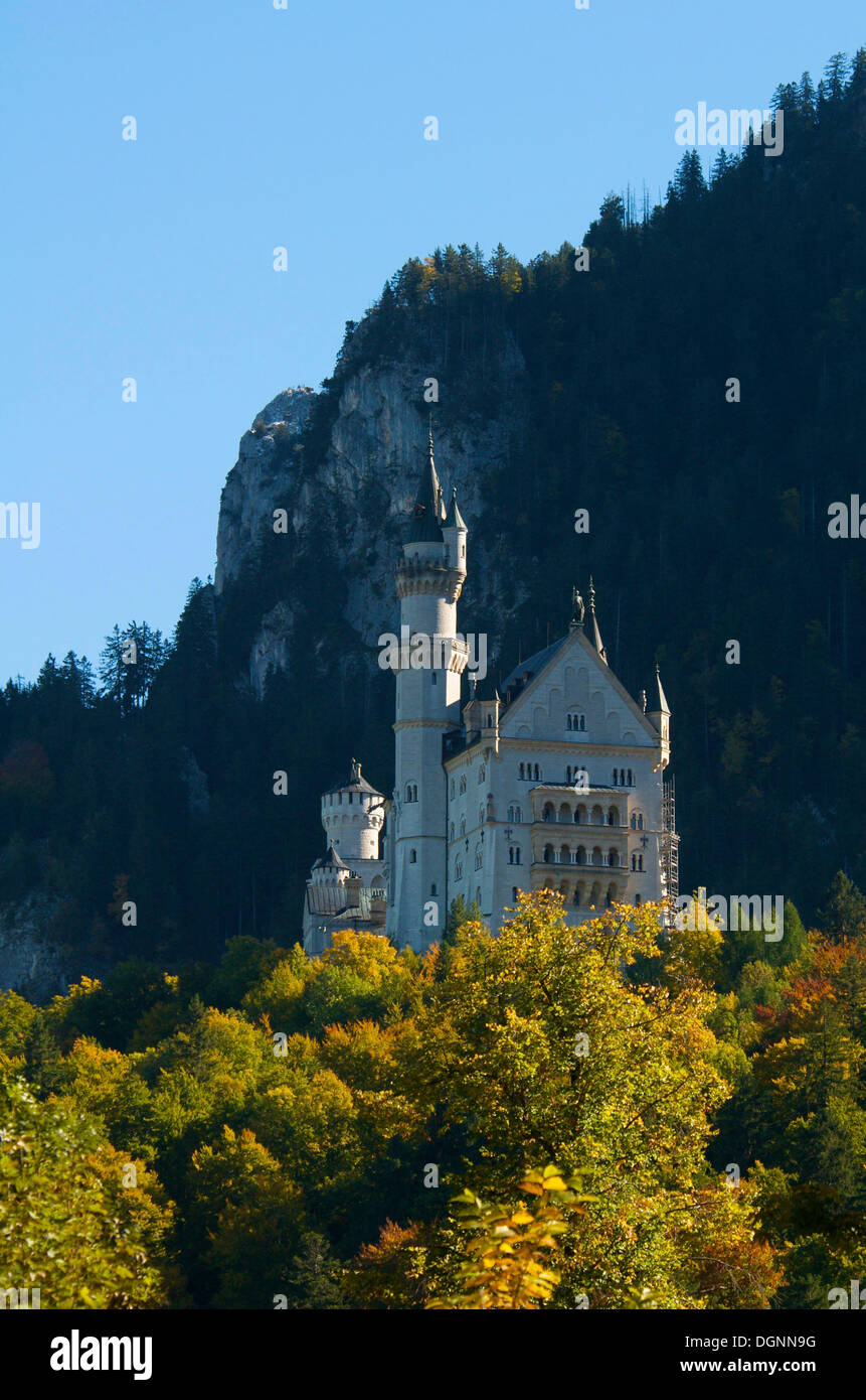 Le château de Neuschwanstein au lac Alpsee, Füssen, en Bavière Allgaeu ...