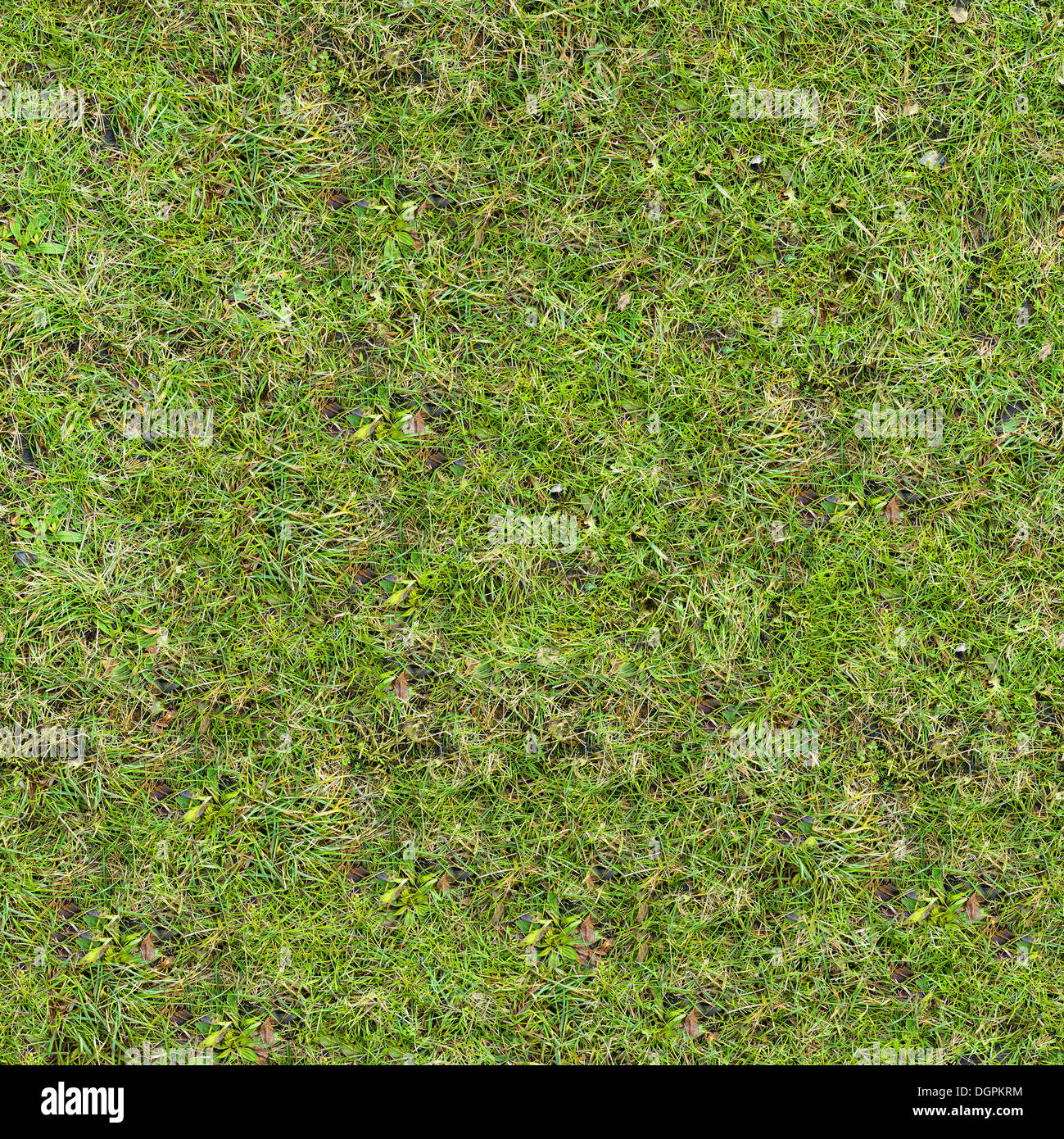 Clean seamless tileable grass texture Banque de photographies et d ...