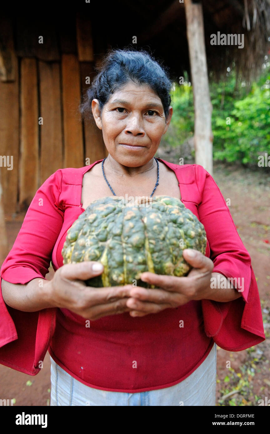 Guarani food Banque de photographies et d’images à haute résolution - Alamy
