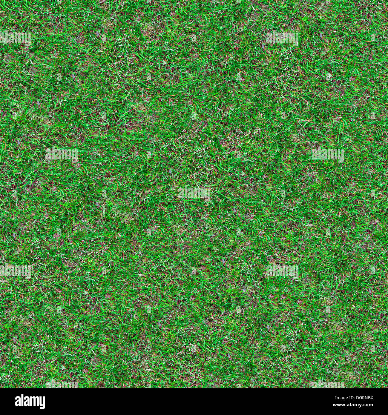 Clean seamless tileable grass texture Banque de photographies et d ...