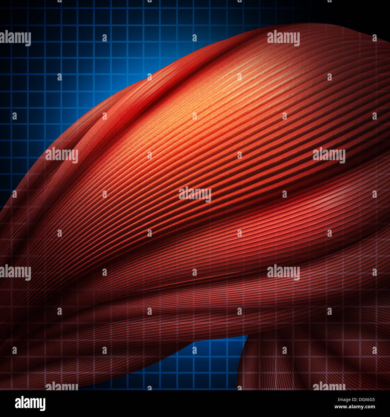 La myalgie douleur musculaire ou la maladie comme un concept de soins ...