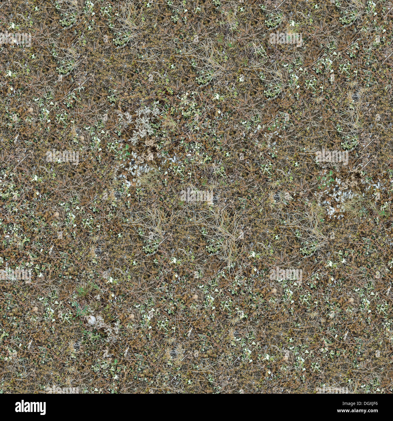 Seamless texture brown soil Banque de photographies et d’images à haute ...