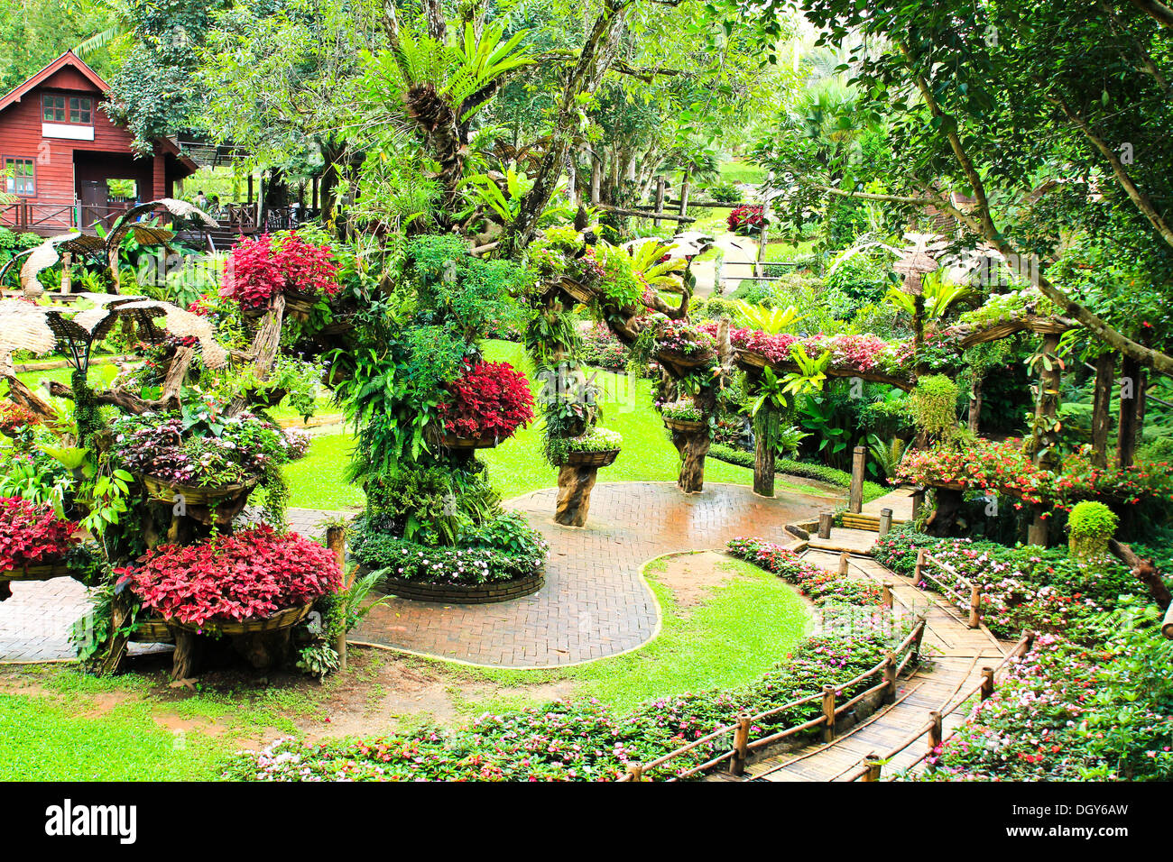 Belle fleur au jardin mae fah luang Banque de photographies et d’images ...