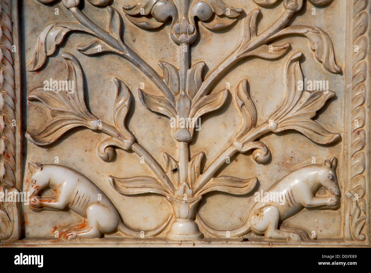 En décharge avec les rats, temple Karni Mata, temple des Rats ou le ...