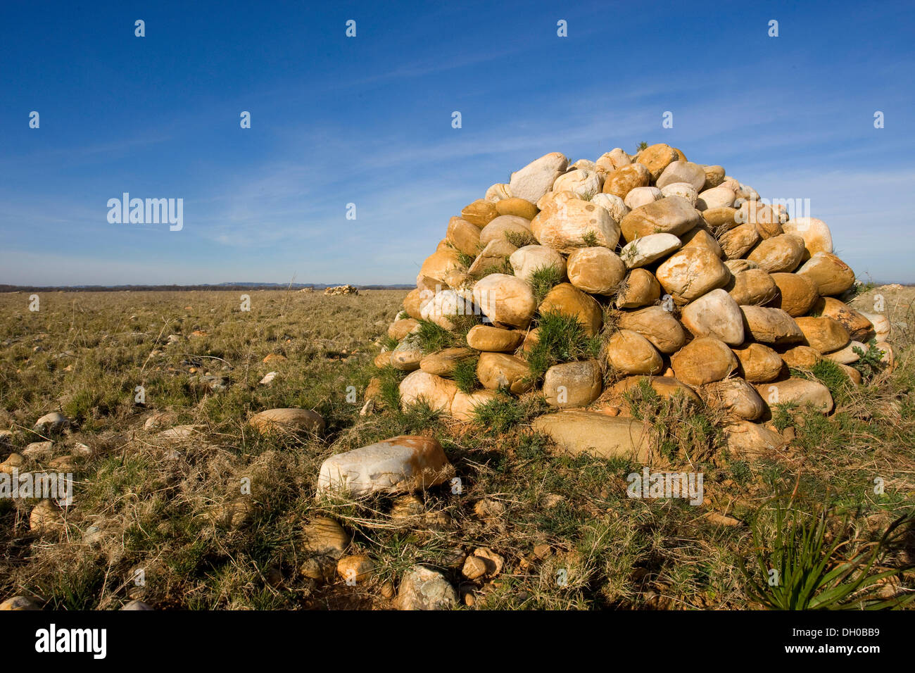 Crau at arles Banque de photographies et d’images à haute résolution ...