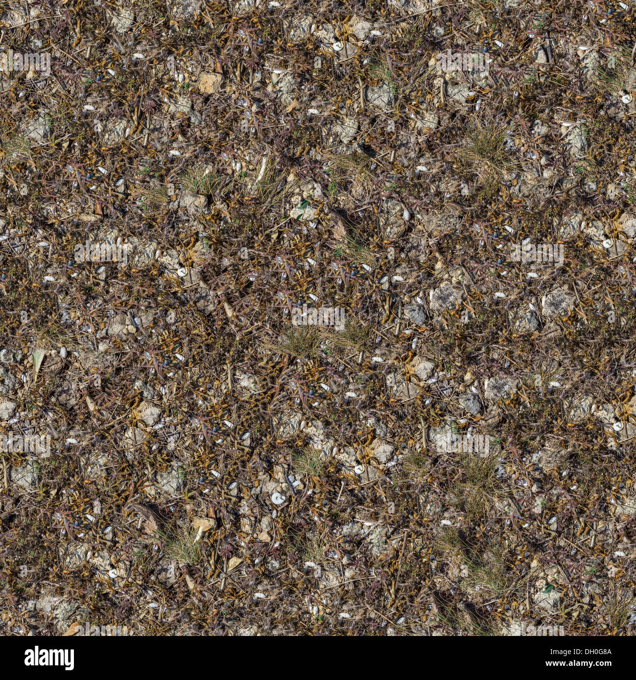 Seamless texture brown soil Banque de photographies et d’images à haute ...