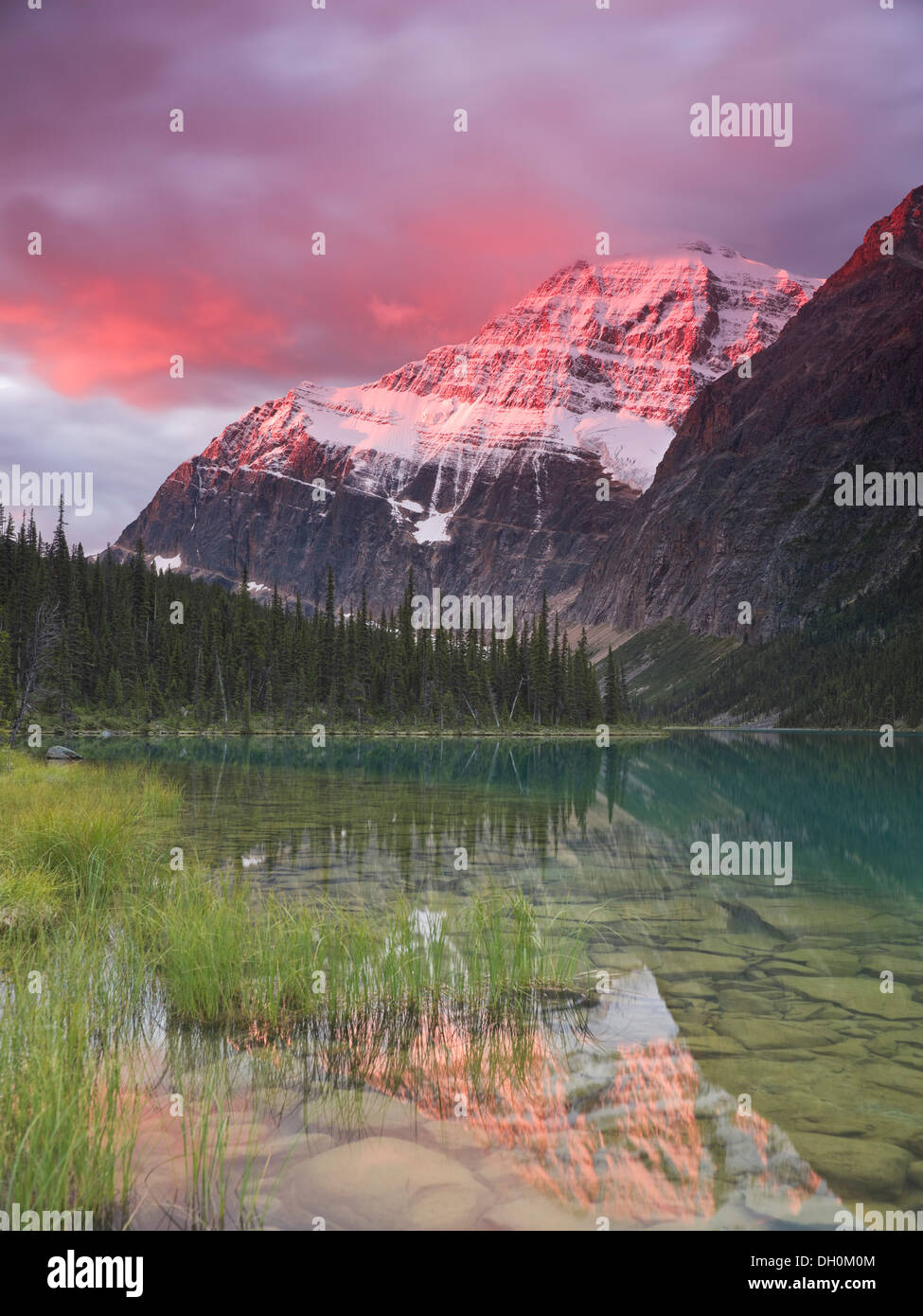 Mont Edith Cavell dans le parc national Jasper au lever du soleil ...