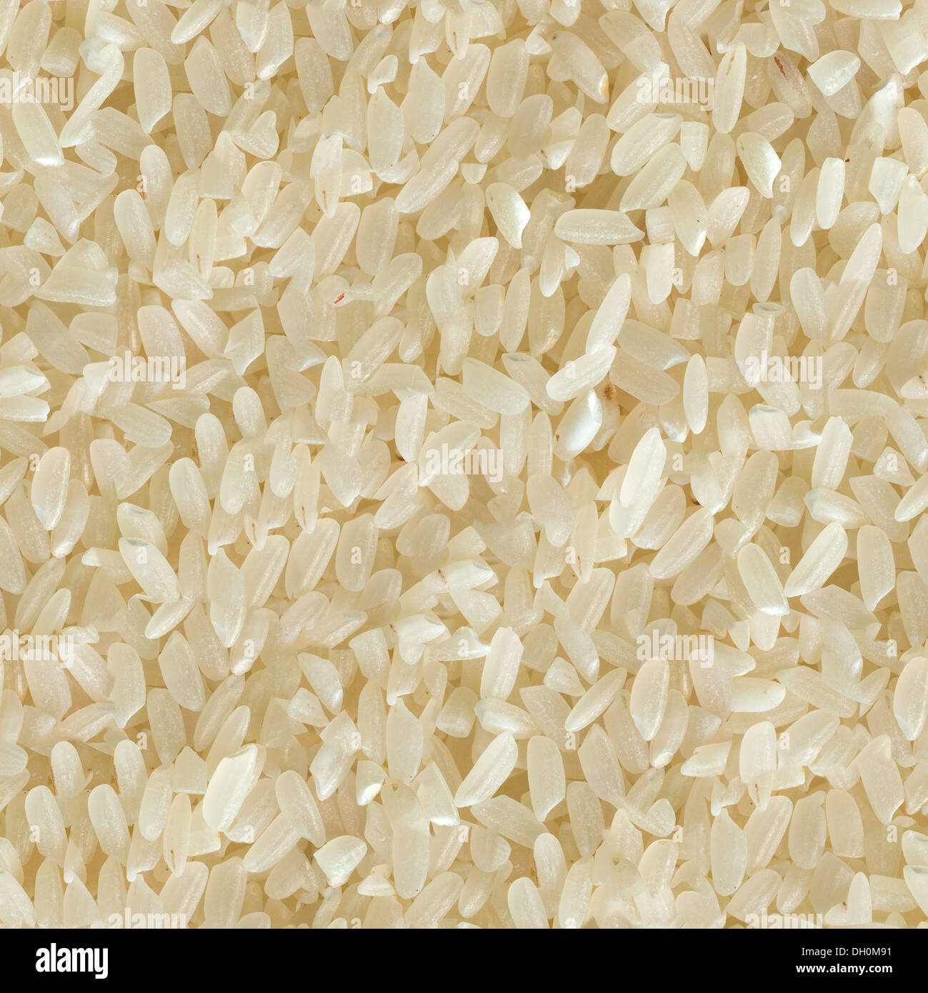 Texture de riz Banque de photographies et d’images à haute résolution ...
