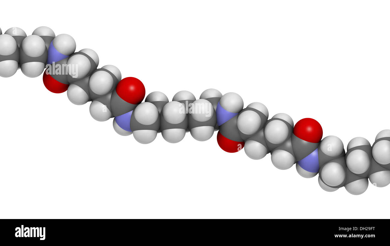 (Nylon Nylon-6,6) polymère plastique, structure chimique - fragment ...