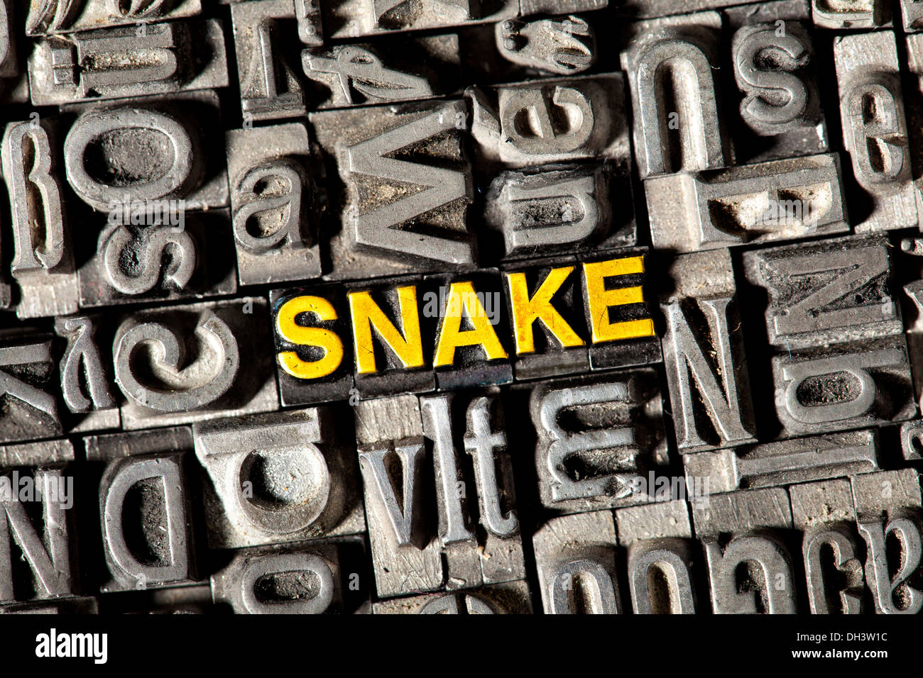 Letter snake Banque de photographies et d’images à haute résolution - Alamy