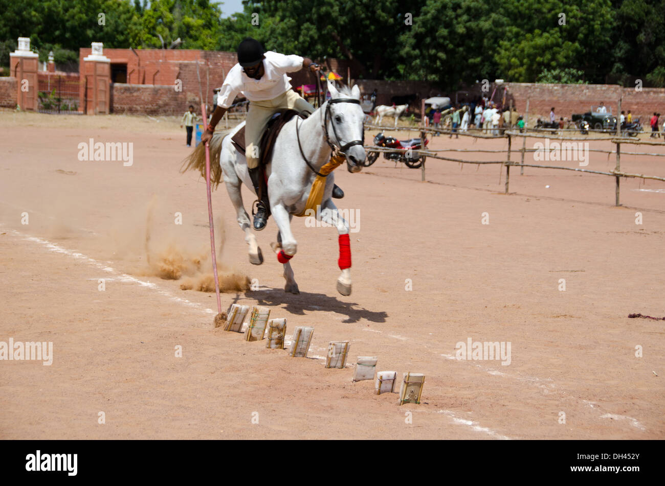 Equestrian show Banque de photographies et d’images à haute résolution ...