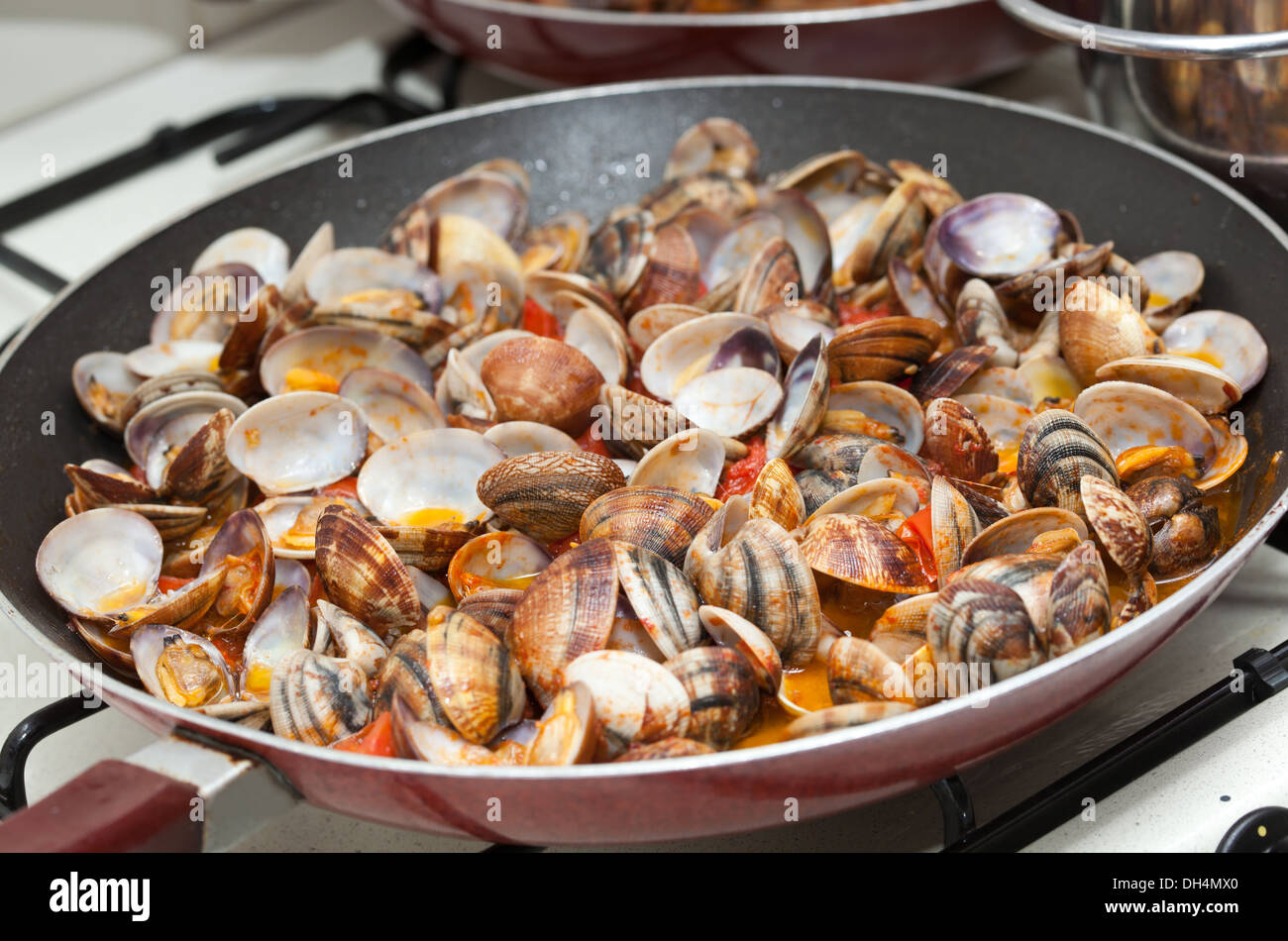 Palourdes bivalves Banque de photographies et d’images à haute ...