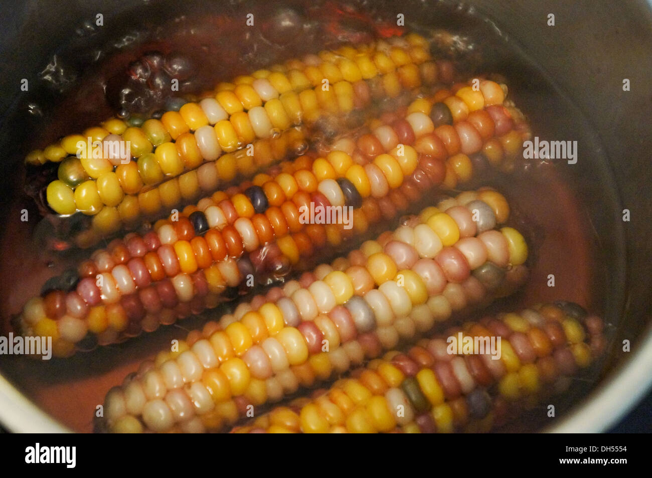 Faire bouillir Banque de photographies et d’images à haute résolution ...