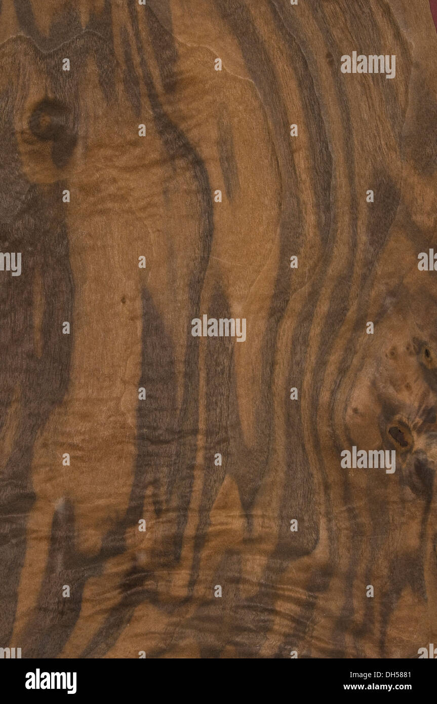 Walnut wood texture Banque de photographies et d’images à haute ...