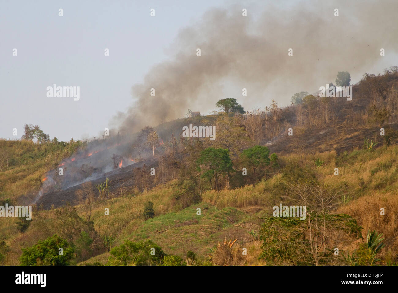 Agriculture sur brûlis Banque de photographies et d’images à haute ...