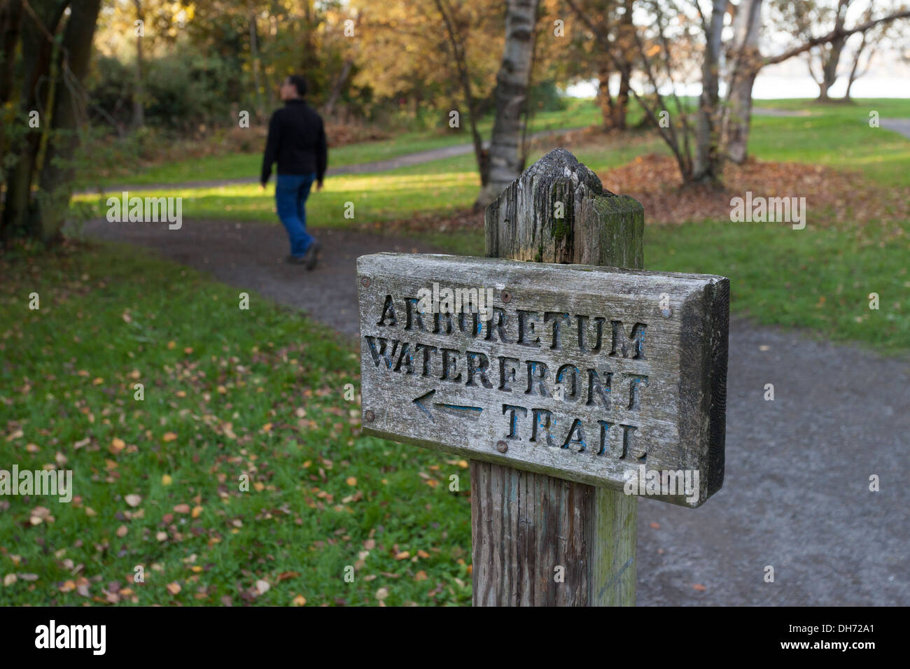 Sentier riverain de l'arboretum Banque de photographies et d’images à ...
