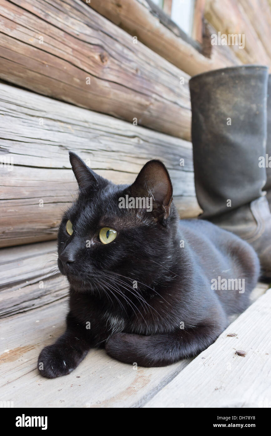 Queue verte et jaune avec du noir Banque de photographies et d’images à ...