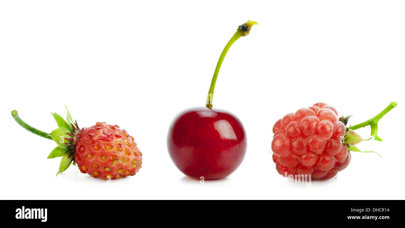 Fruits rouges sauvages Banque de photographies et d’images à haute ...