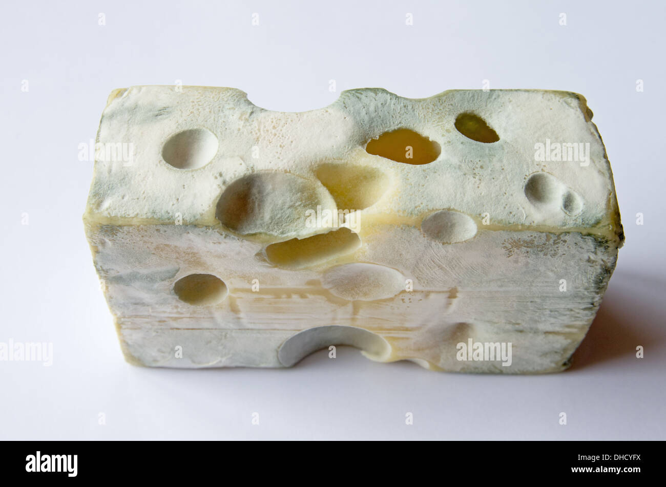 Champignon moisi Banque de photographies et d’images à haute résolution ...