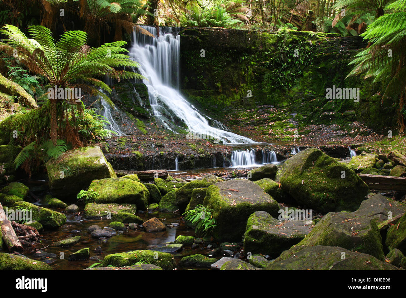 Mount field national park Banque de photographies et d’images à haute ...