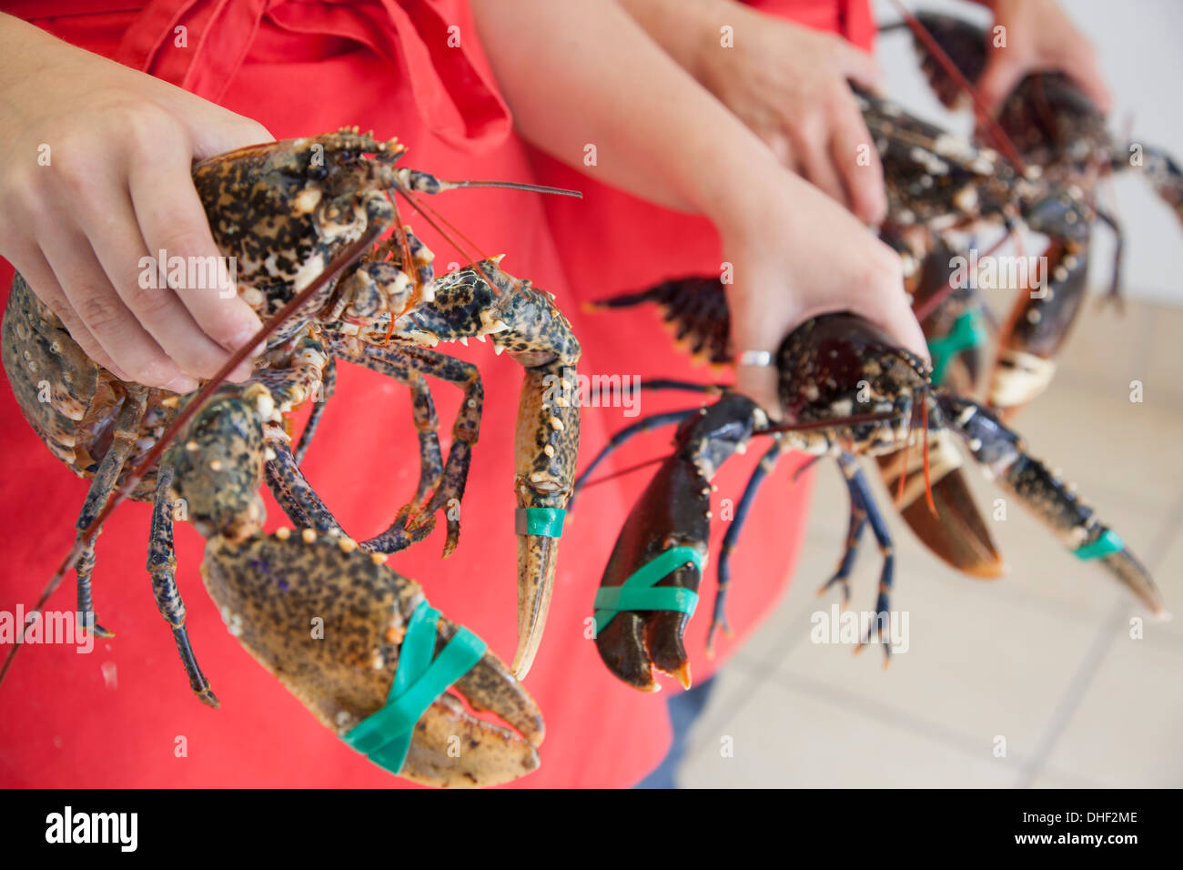 Homards vivants Banque de photographies et d’images à haute résolution ...