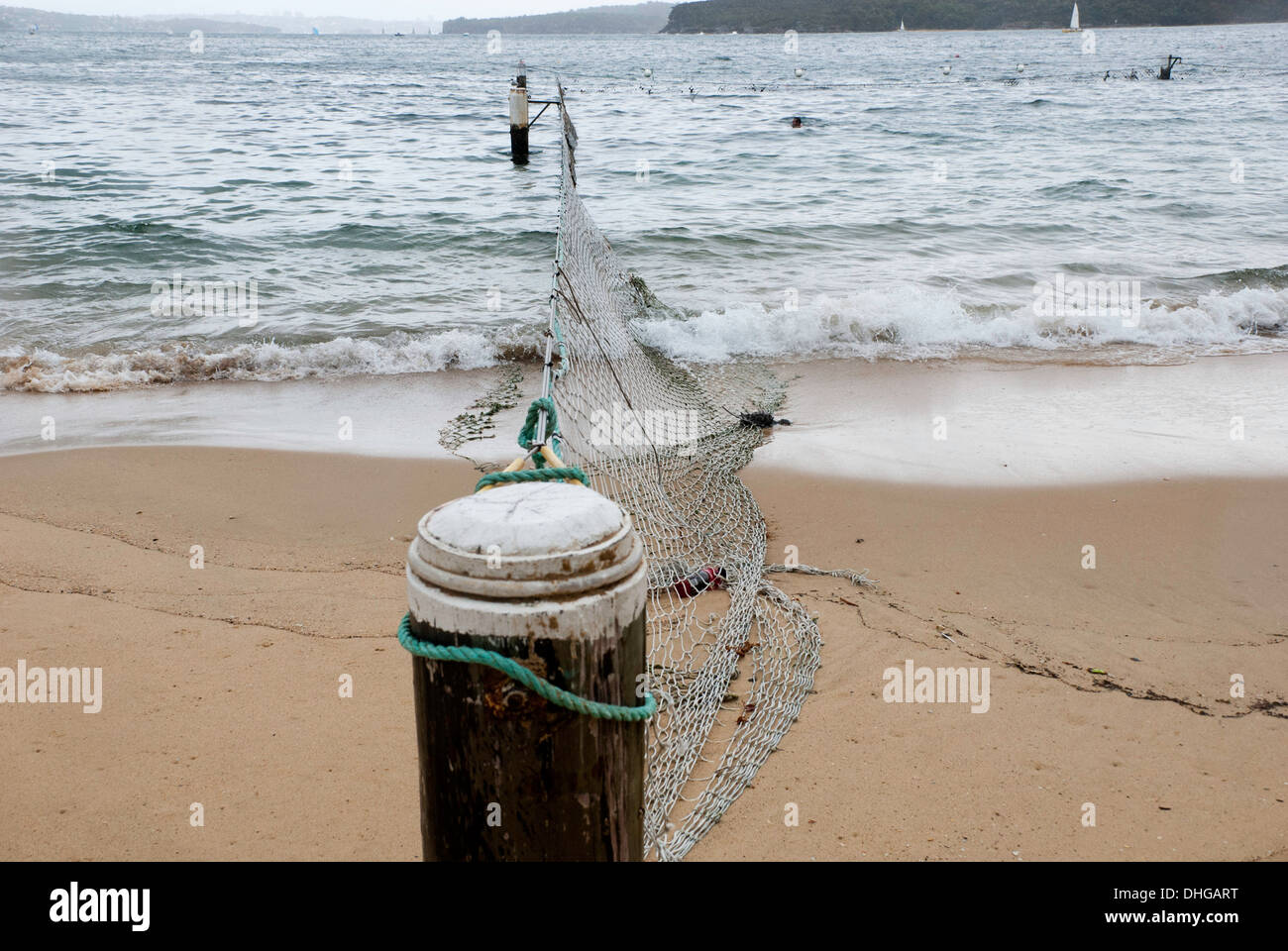 Filet de requin Banque de photographies et d’images à haute résolution ...