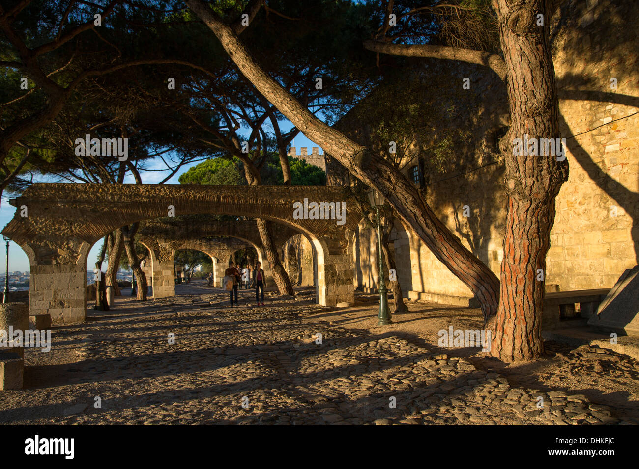 Chemin pavé et arbre ombre à Castelo de San Jorge, le Château Saint ...