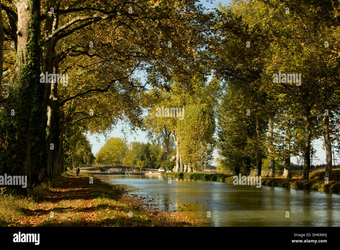 Canal du midi arbre Banque de photographies et d’images à haute ...