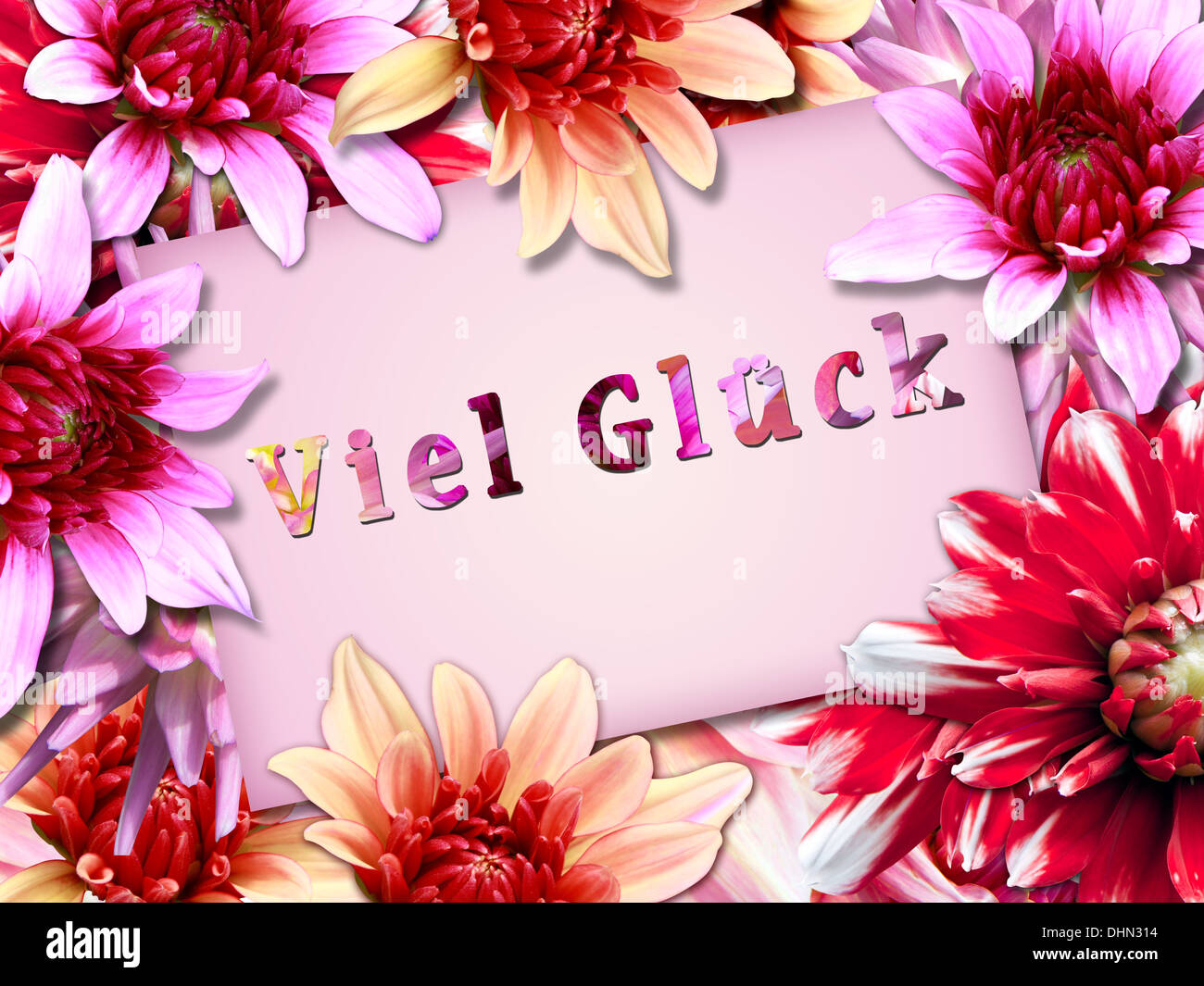 Carte de bonne chance avec des fleurs Banque de photographies et d ...