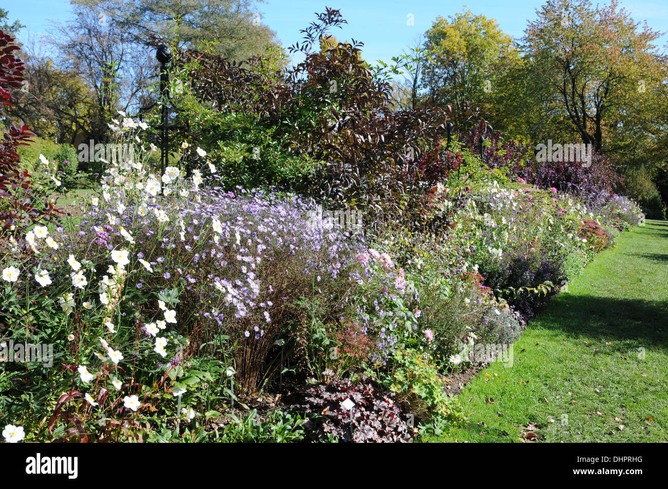 Mixed border Banque de photographies et d’images à haute résolution - Alamy